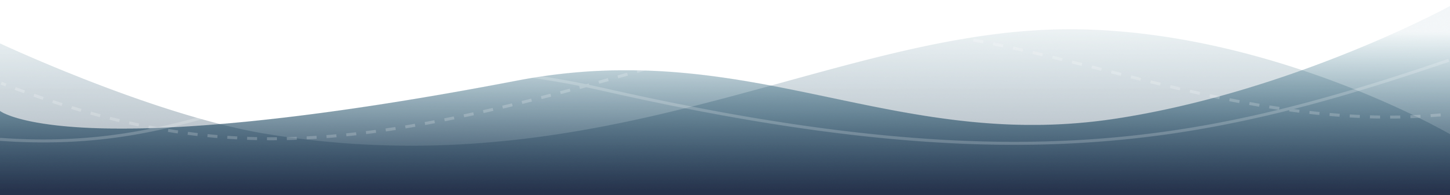 A complete guide to search bar design | Squiz