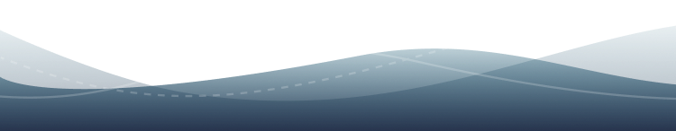 A complete guide to search bar design | Squiz